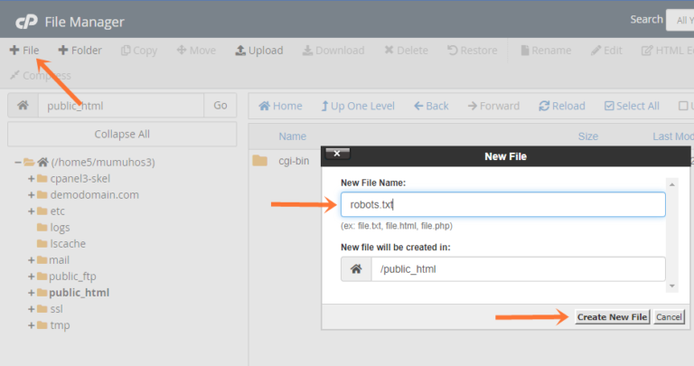 How to Use File Manager in cPanel - MumuHost